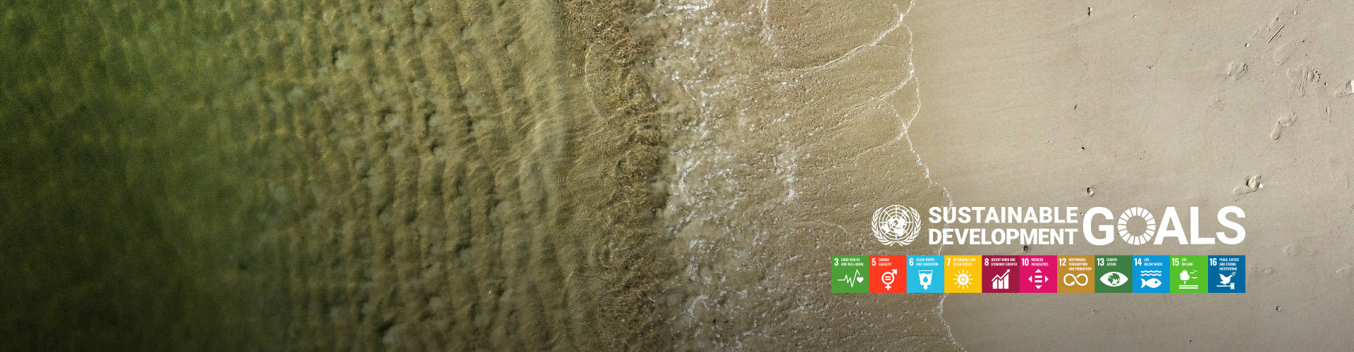 Integrated Waste Management Provider - Cenviro